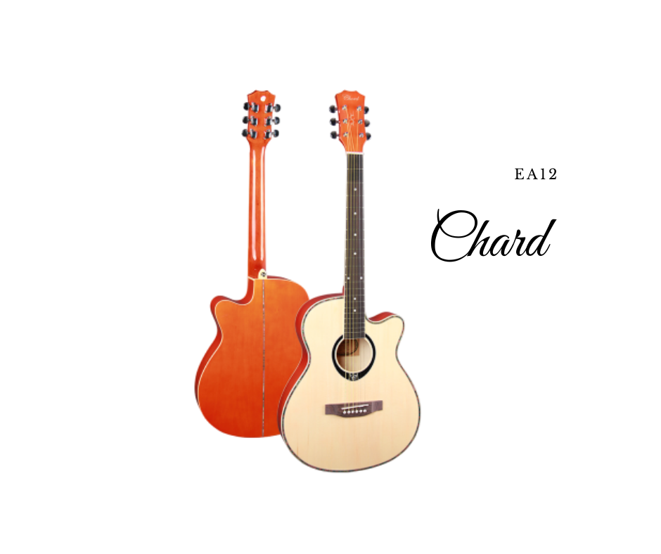 Chard EA-12 Acoustic Cutaway Guitar - Guitar Paradise