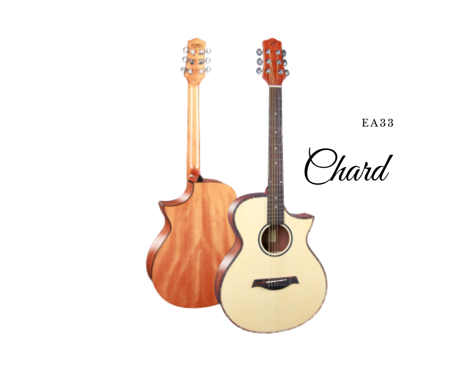 Chard EA33 Acoustic Guitar - Guitar Paradise