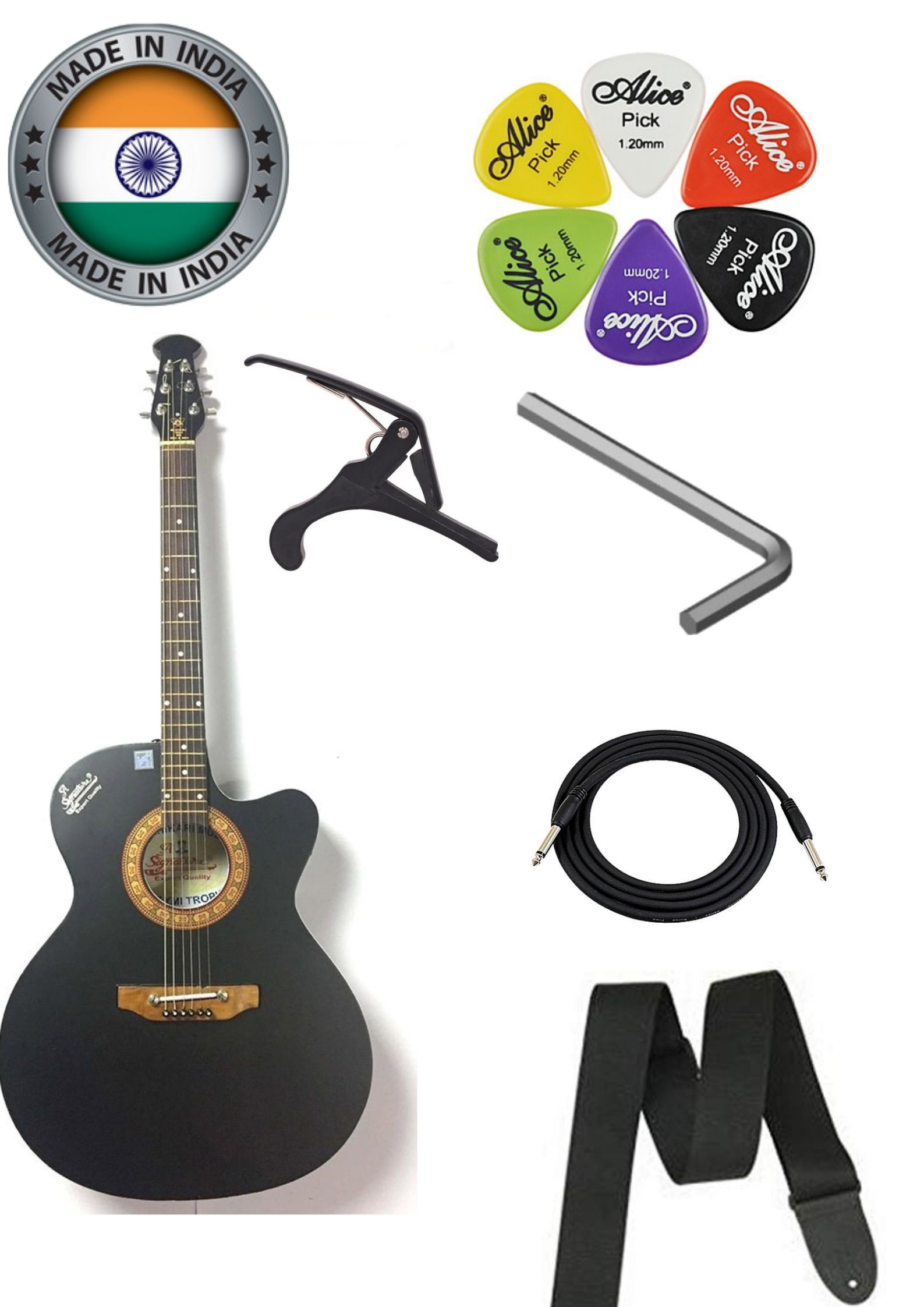 Combo Indian Semi-Acoustic Signature Guitar With Accessories - Guitar ...